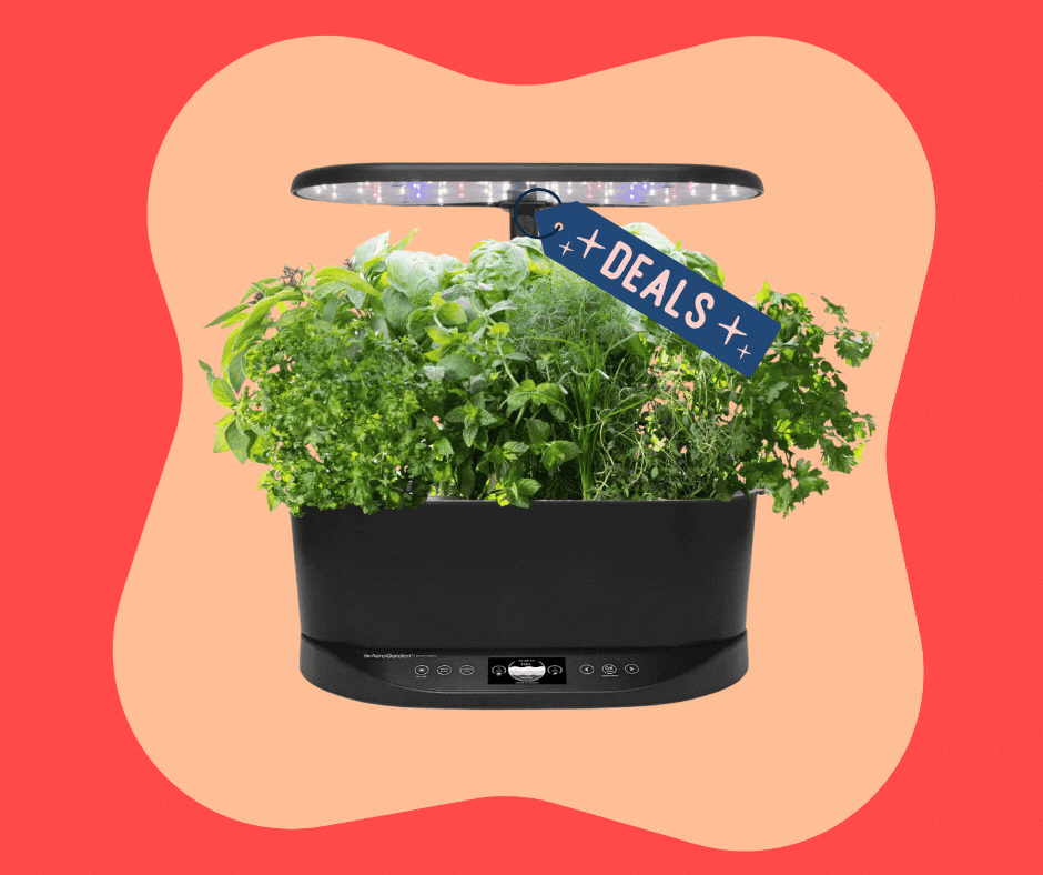 50% Off AeroGarden Bounty Basic Indoor Garden