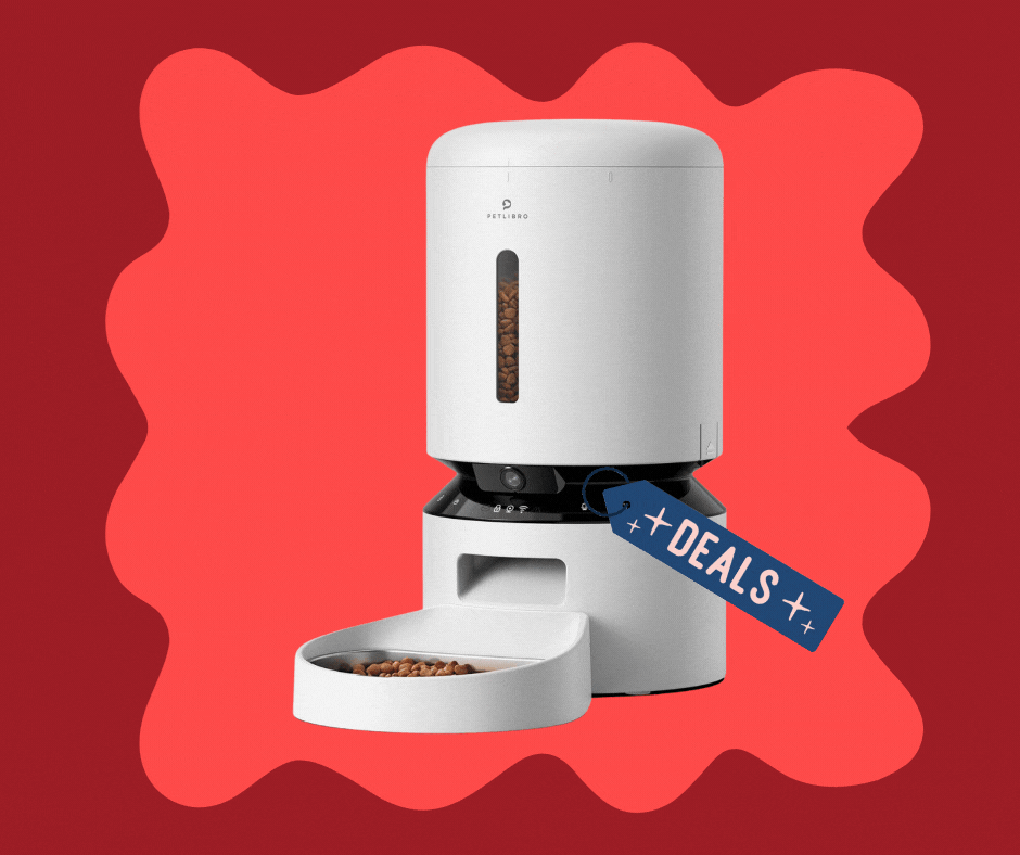 20% Off Automatic Cat Feeder With Camera